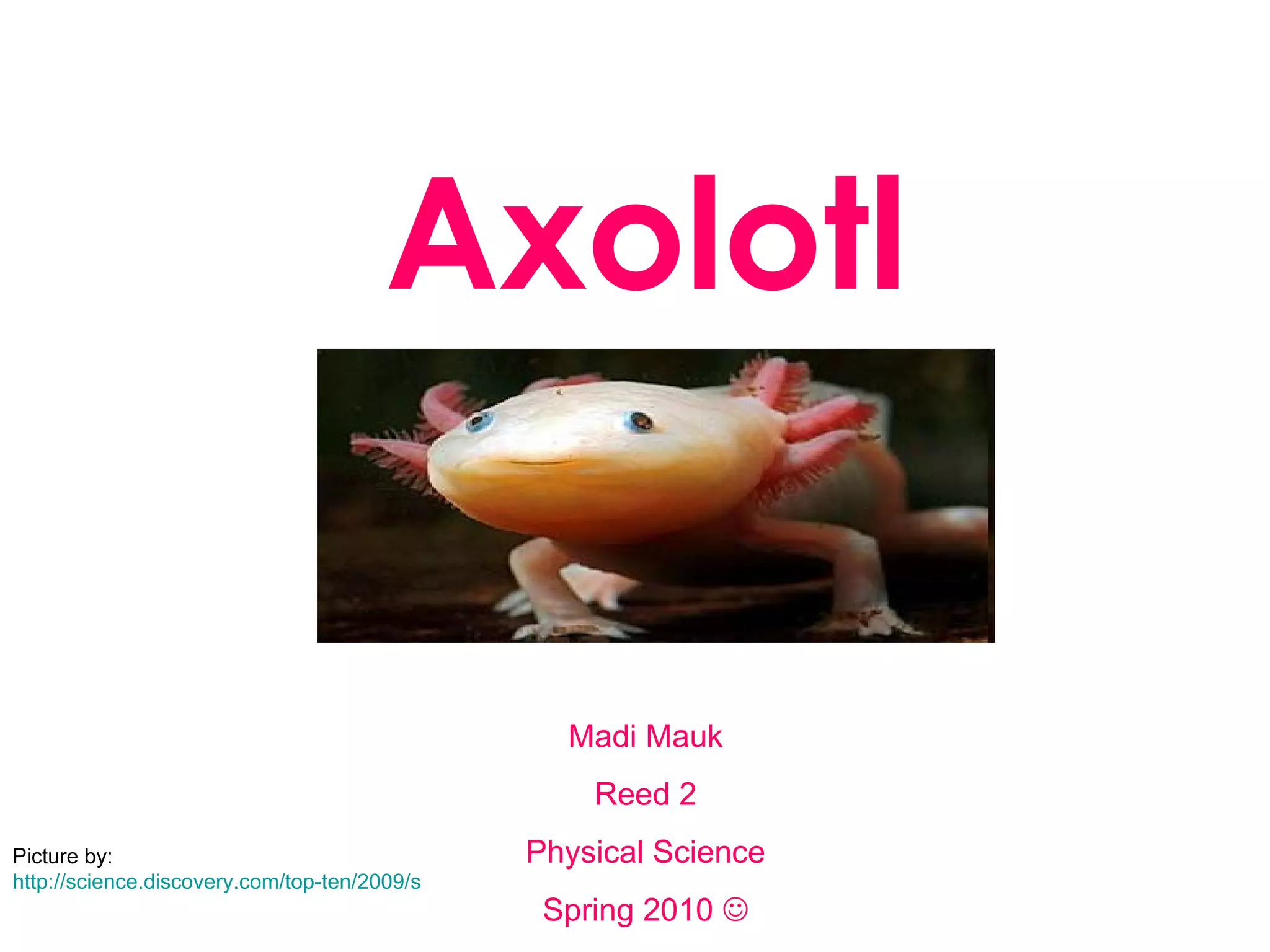 Axolotl slide show | PPT