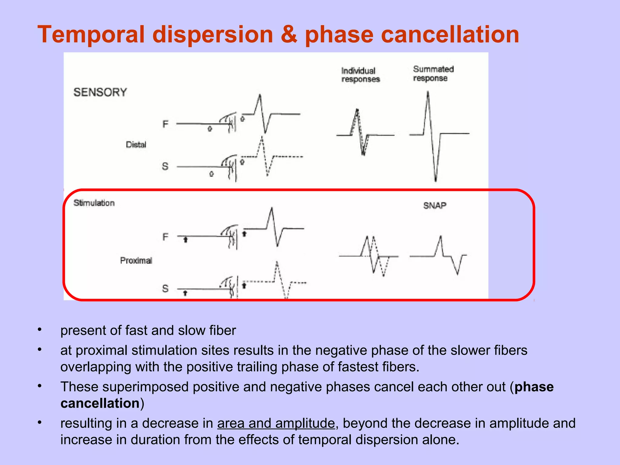 Nerves conduction study, Axonal loss vs Demyelination | PPT