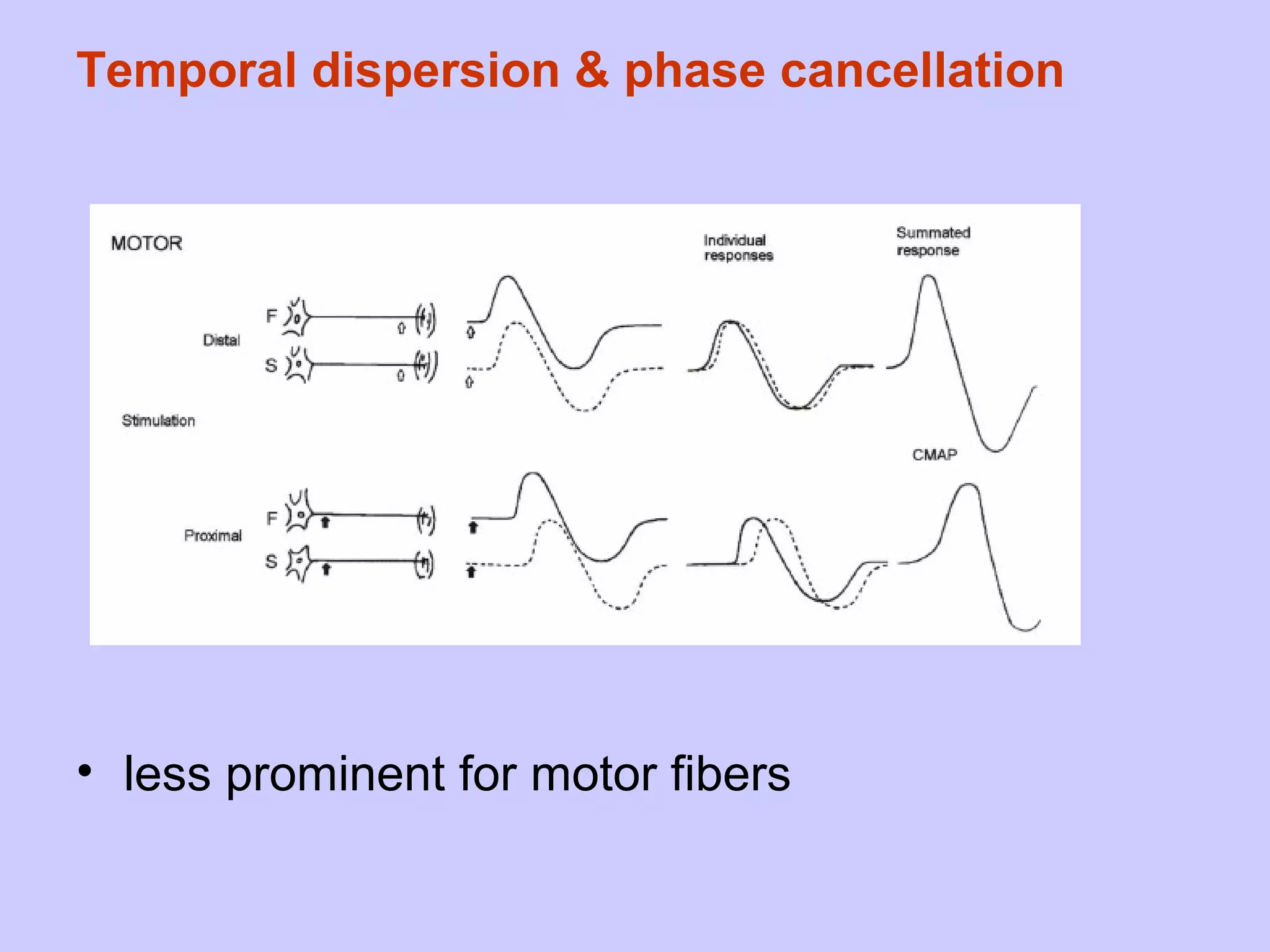 Nerves conduction study, Axonal loss vs Demyelination | PPT