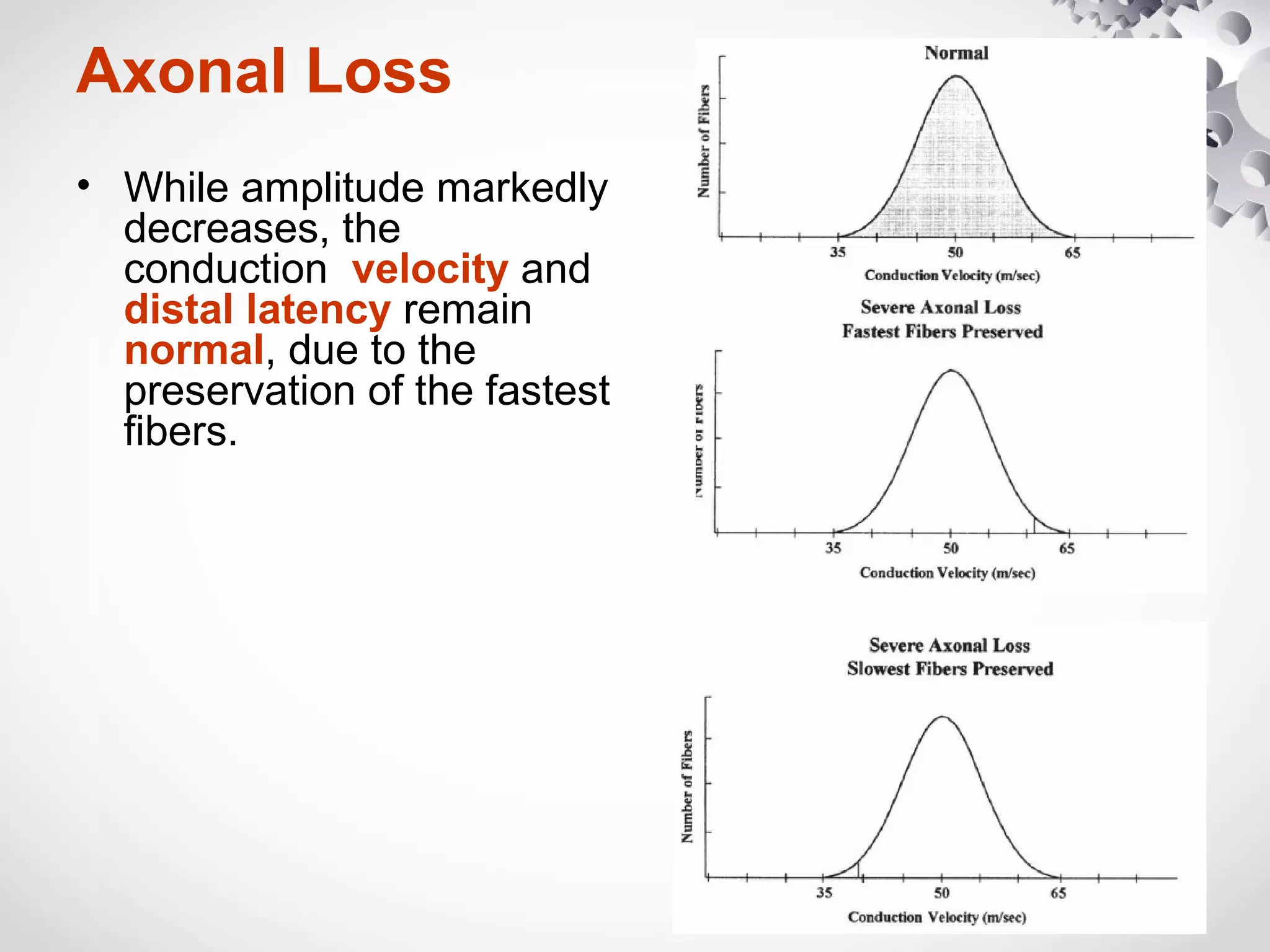 Nerves conduction study, Axonal loss vs Demyelination | PPT