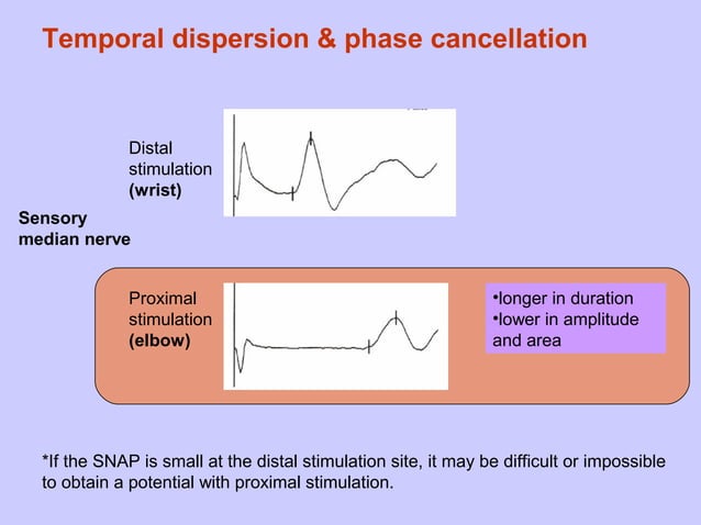 Nerves conduction study, Axonal loss vs Demyelination | PPT
