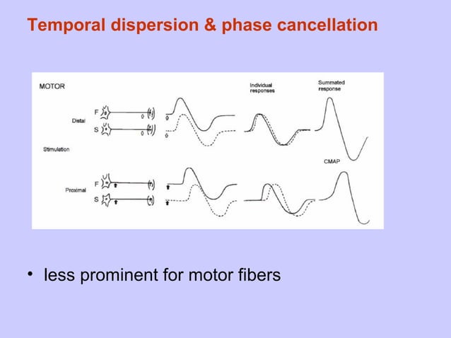 Nerves conduction study, Axonal loss vs Demyelination | PPT