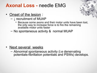 Nerves conduction study, Axonal loss vs Demyelination | PPT