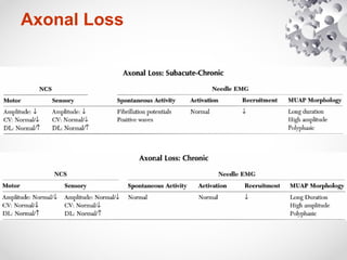 Nerves conduction study, Axonal loss vs Demyelination | PPT