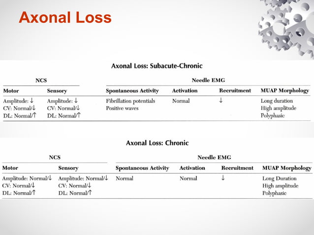 Nerves conduction study, Axonal loss vs Demyelination | PPT