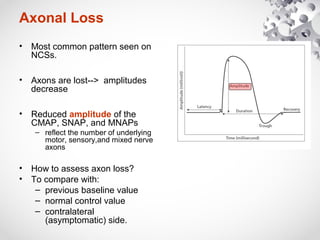 Nerves conduction study, Axonal loss vs Demyelination | PPT