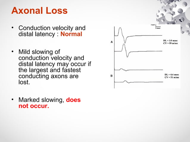 Nerves conduction study, Axonal loss vs Demyelination | PPT