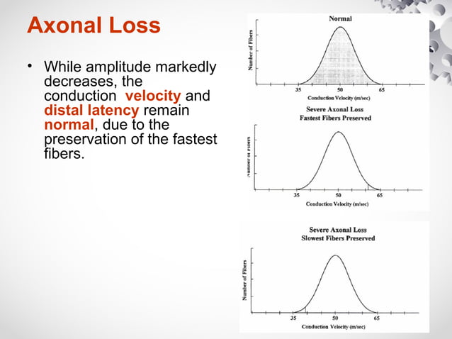 Nerves conduction study, Axonal loss vs Demyelination | PPT