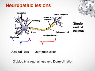 Axon Nerve Test