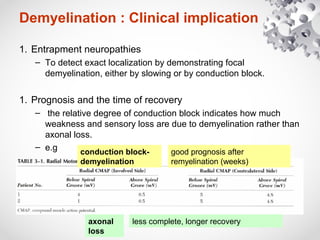 Axon Nerve Test