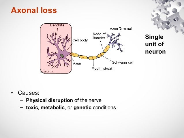 Nerves conduction study, Axonal loss vs Demyelination