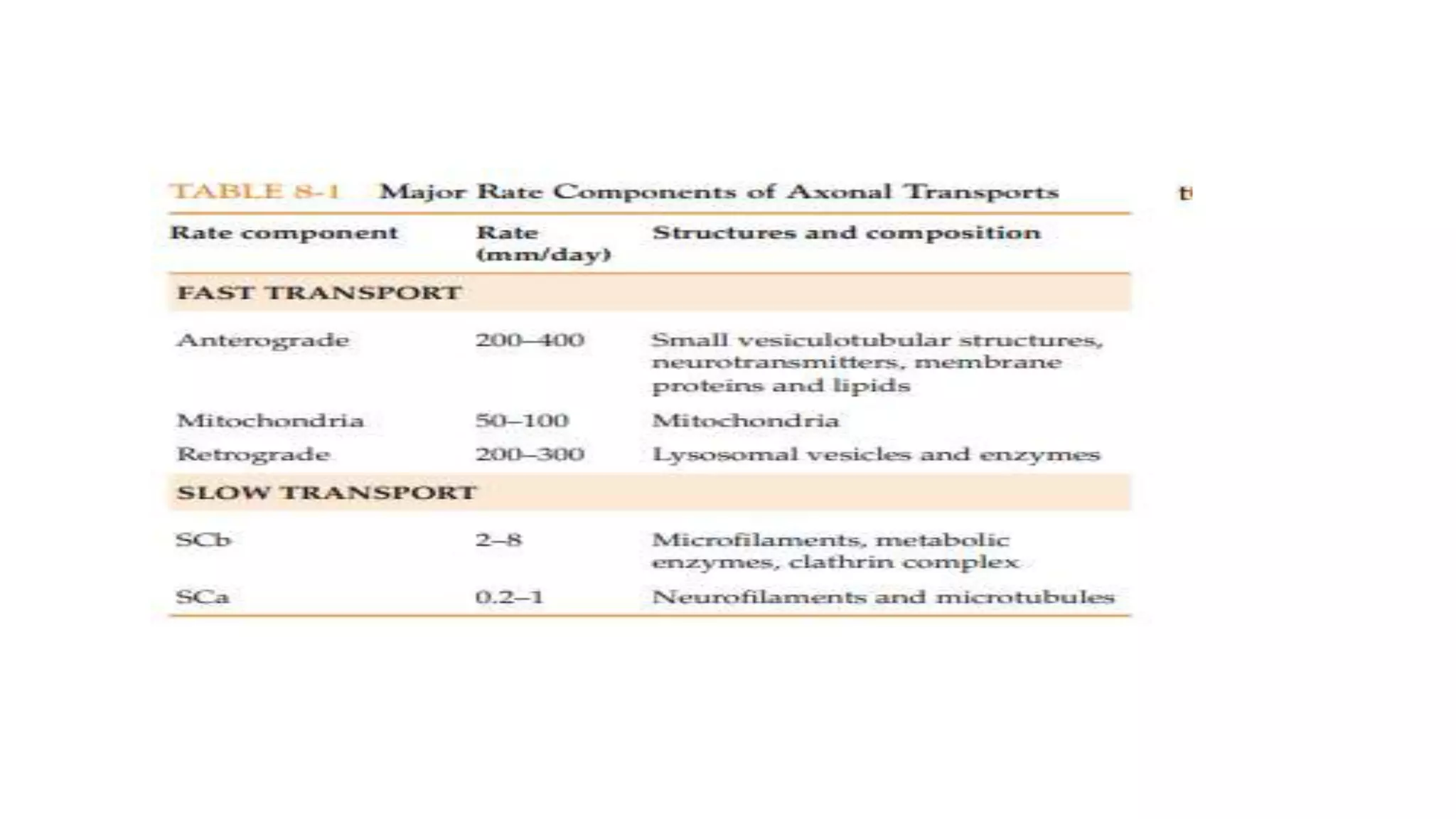 axonal transport.pptx