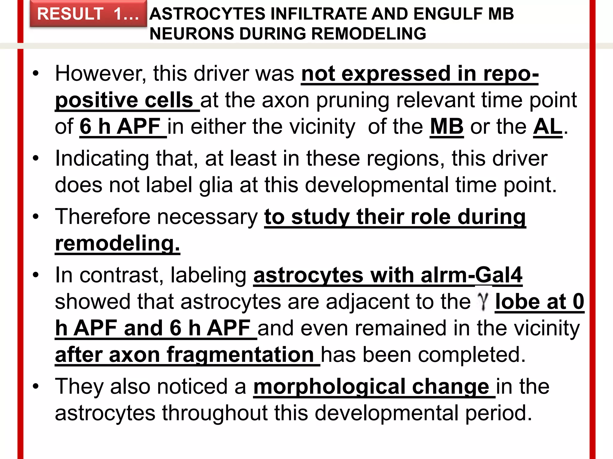Astrocytes Play a Key Role in Drosophila Mushroom Body Axon Pruning | PPTX