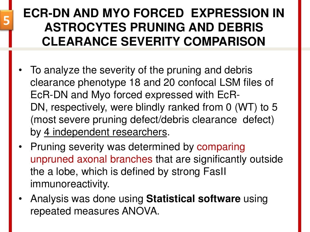 Astrocytes Play a Key Role in Drosophila Mushroom Body Axon Pruning