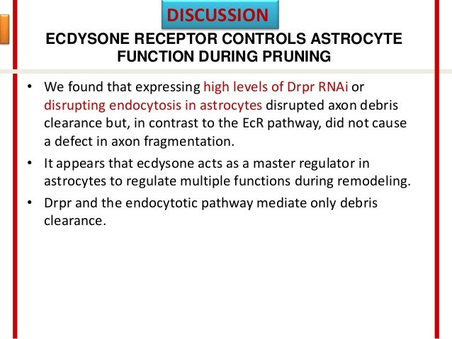 Astrocytes Play a Key Role in Drosophila Mushroom Body Axon Pruning