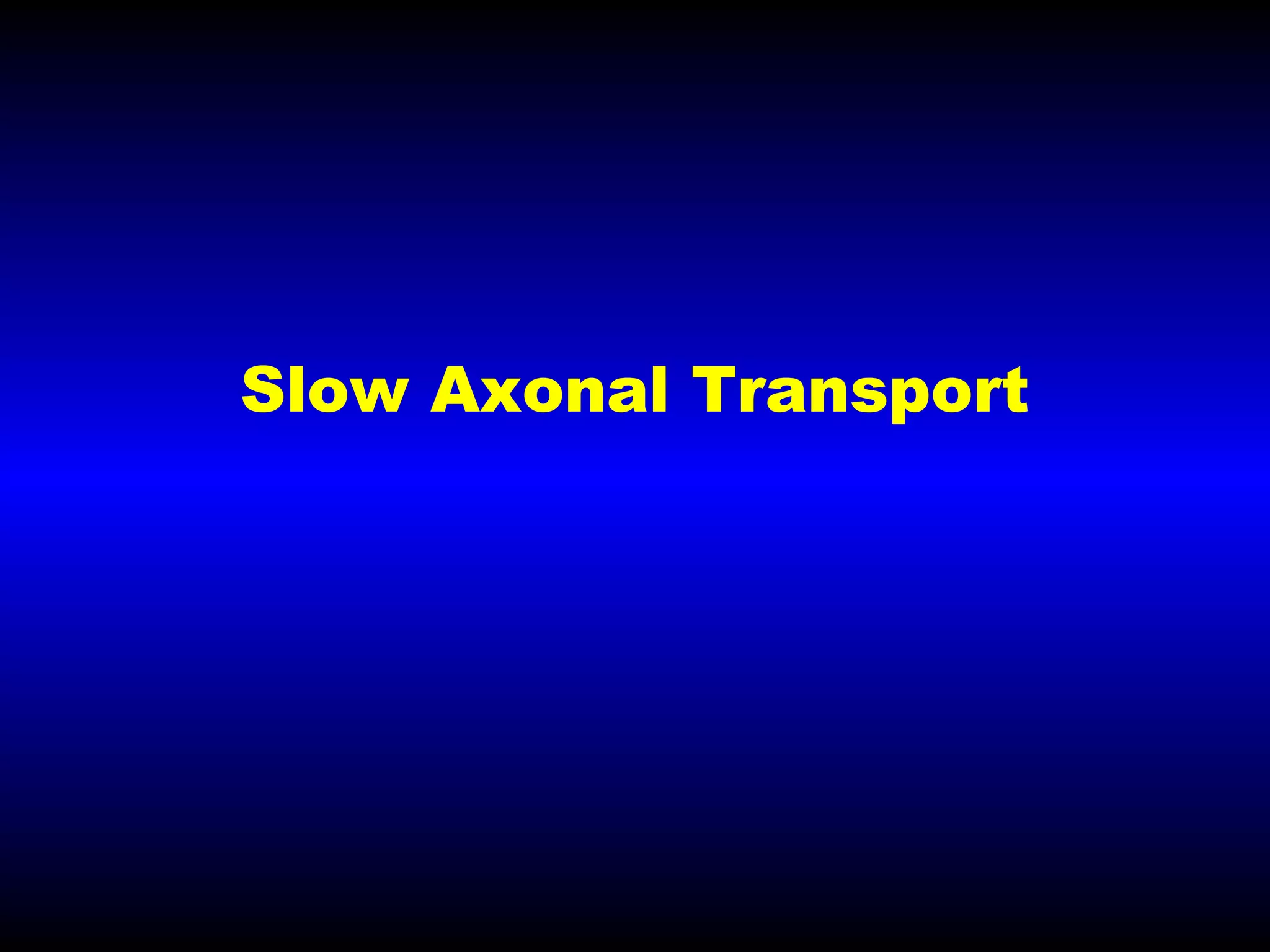 Axoplasmic flow in Axons - Mechanisms and Applications in Clinical ...