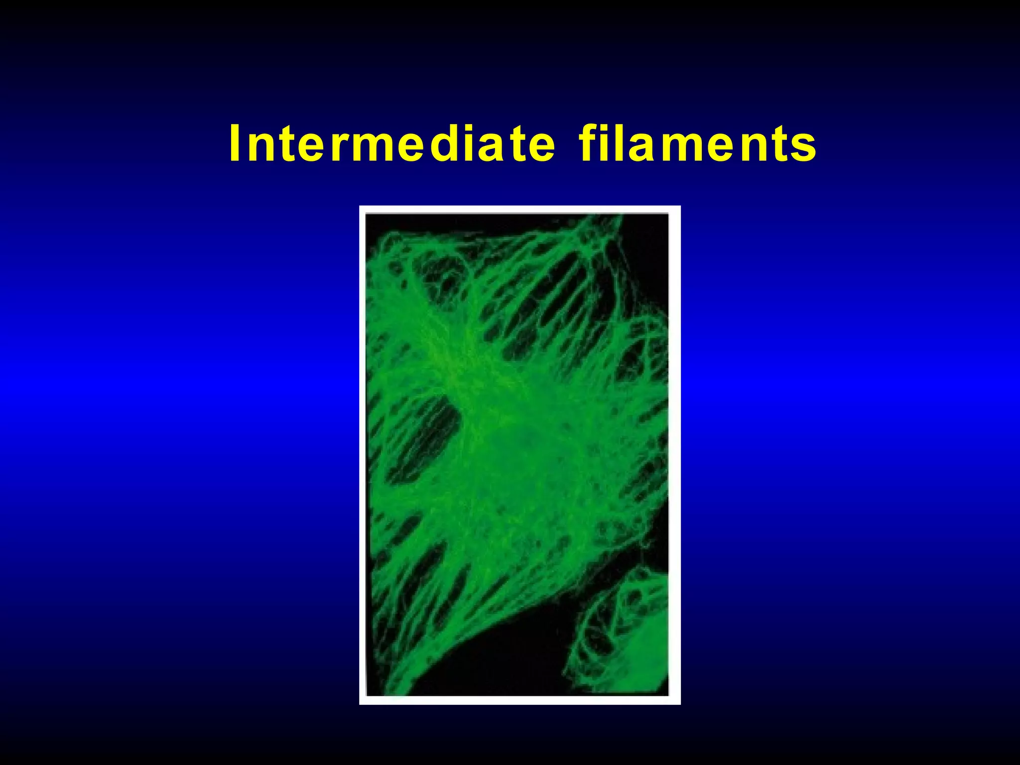 Axoplasmic flow in Axons - Mechanisms and Applications in Clinical ...