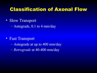 Axoplasmic flow in Axons - Mechanisms and Applications in Clinical ...