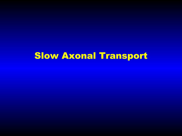 Axoplasmic flow in Axons - Mechanisms and Applications in Clinical ...