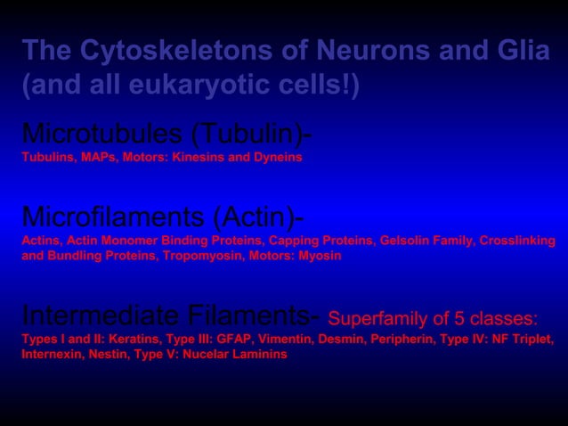 Axoplasmic flow in Axons - Mechanisms and Applications in Clinical ...