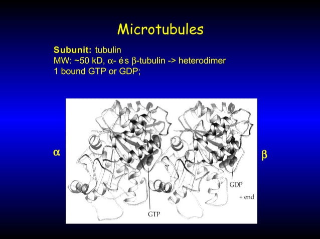 Axoplasmic flow in Axons - Mechanisms and Applications in Clinical ...