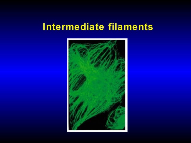 Axoplasmic flow in Axons - Mechanisms and Applications in Clinical ...