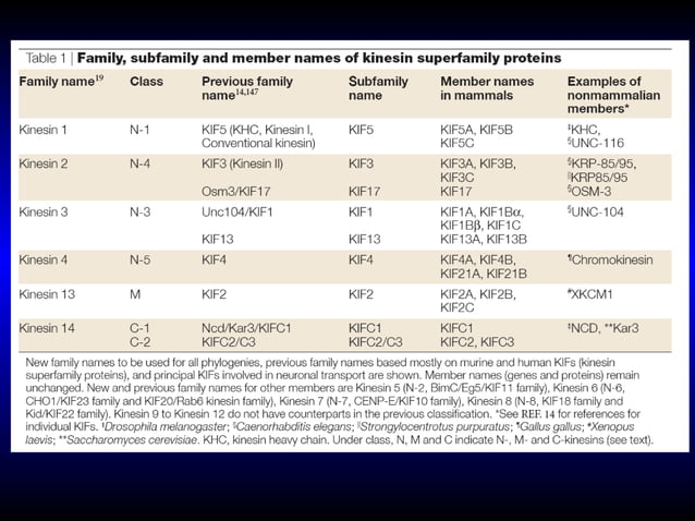 Axoplasmic flow in Axons - Mechanisms and Applications in Clinical ...