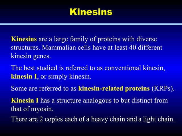 Axoplasmic flow in Axons - Mechanisms and Applications in Clinical ...