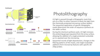 Axt microarrays | PPT