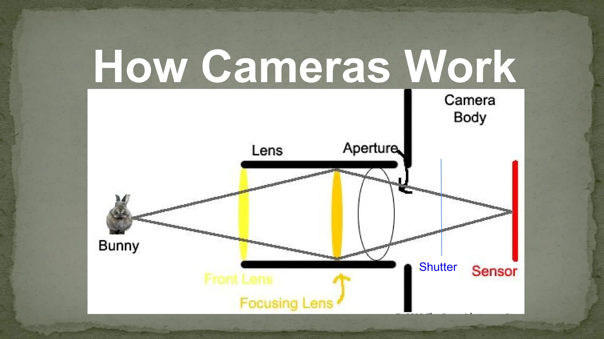 How_Cameras_Work Power Point Presentation | PPTX