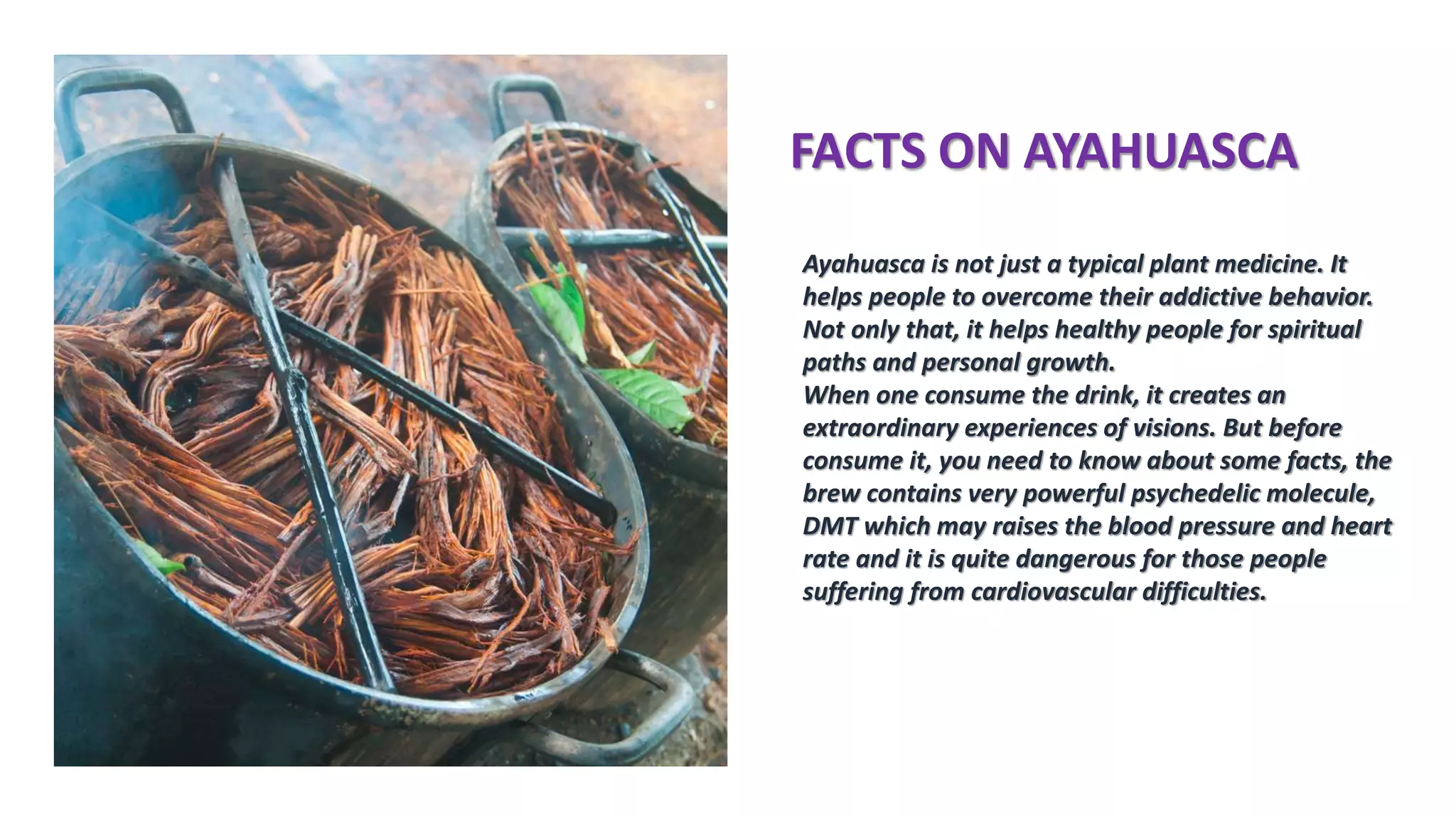 Ayahuasca- A Tradtional Plant Medicine & Sacred Vine of Amazon | PPT