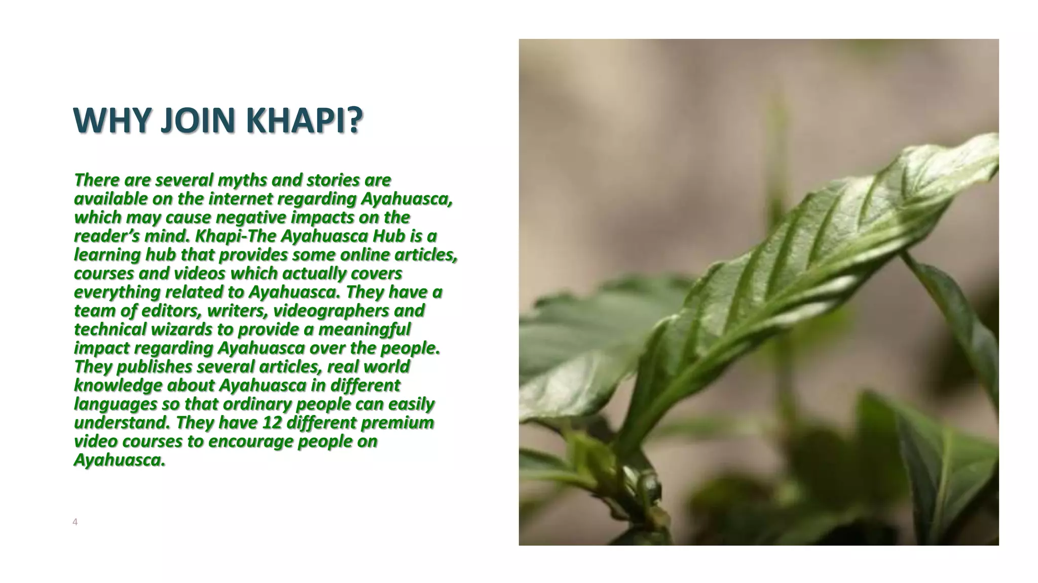 Ayahuasca- A Tradtional Plant Medicine & Sacred Vine of Amazon | PPT