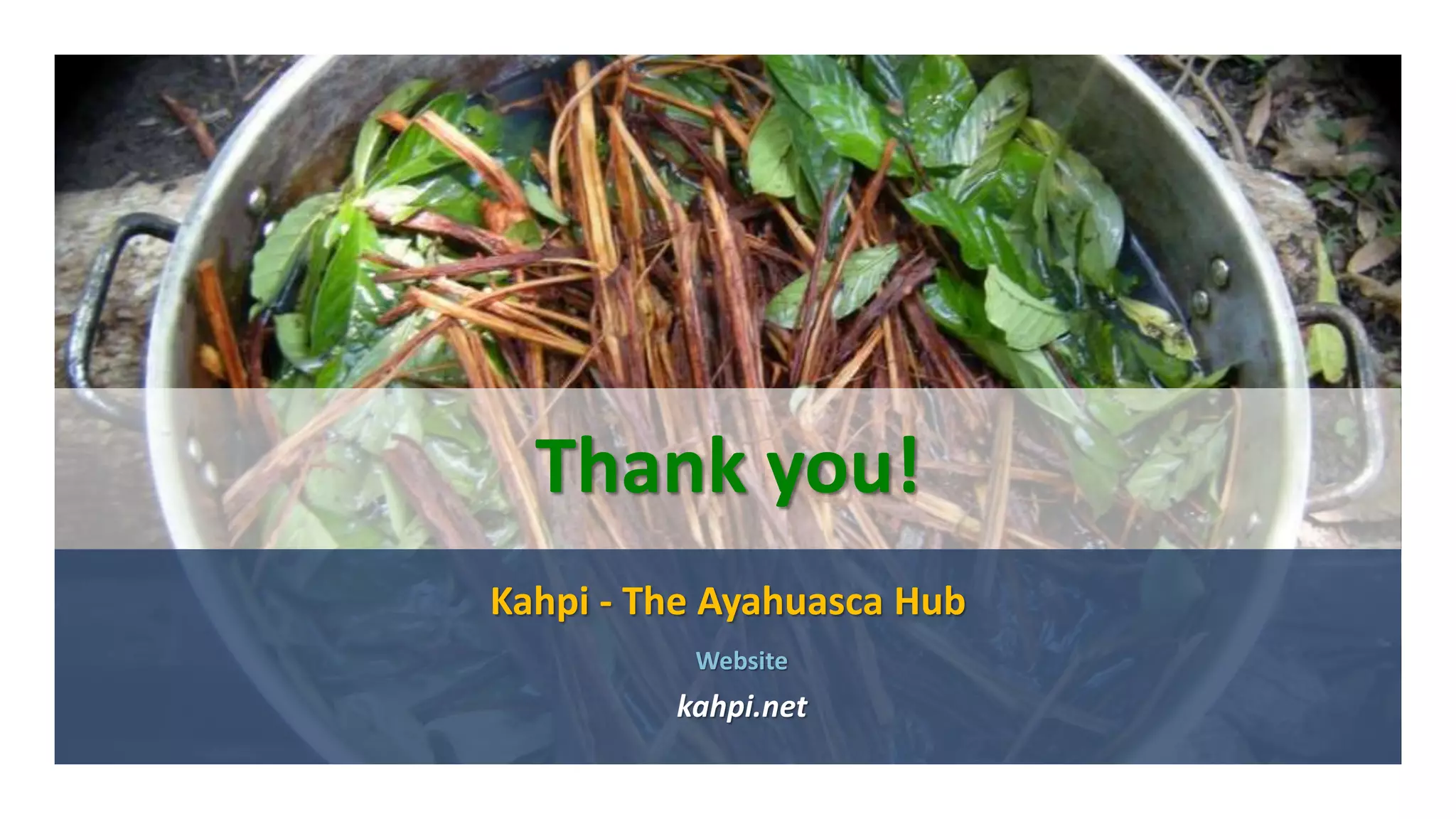 Ayahuasca- A Tradtional Plant Medicine & Sacred Vine of Amazon | PPT