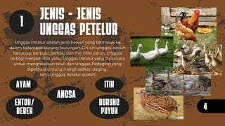 Budidaya Unggas Petelur dengan Pengetahuan Dasar.pdf