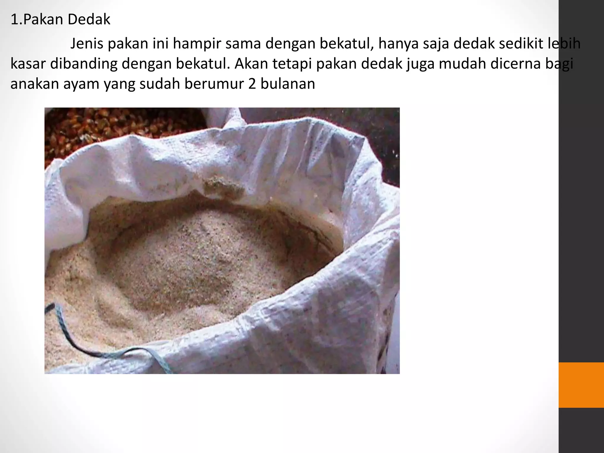 Presentasi Ayam Buras untuk prakarya | PPTX