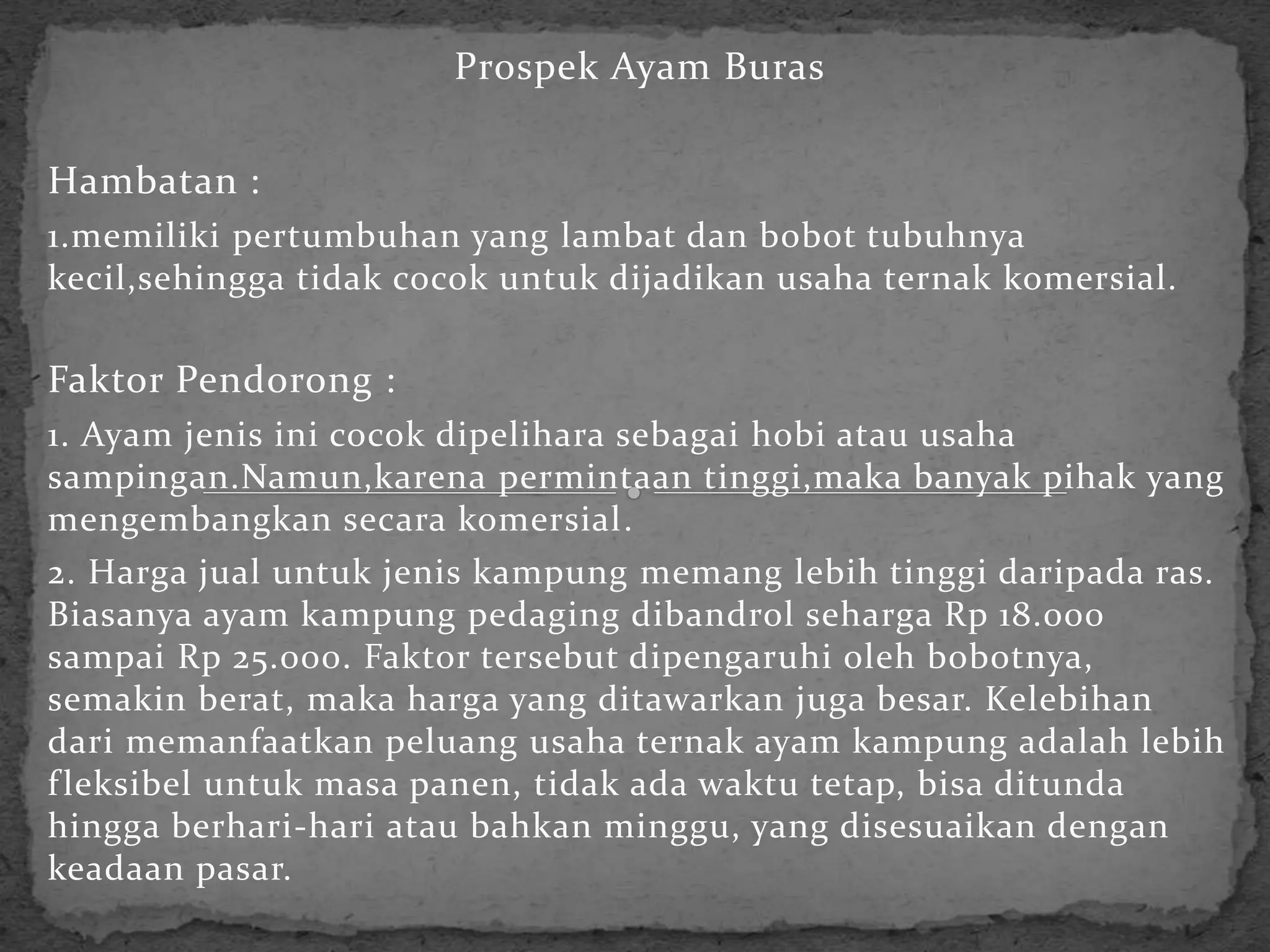 Presentasi Ayam Buras untuk prakarya | PPTX