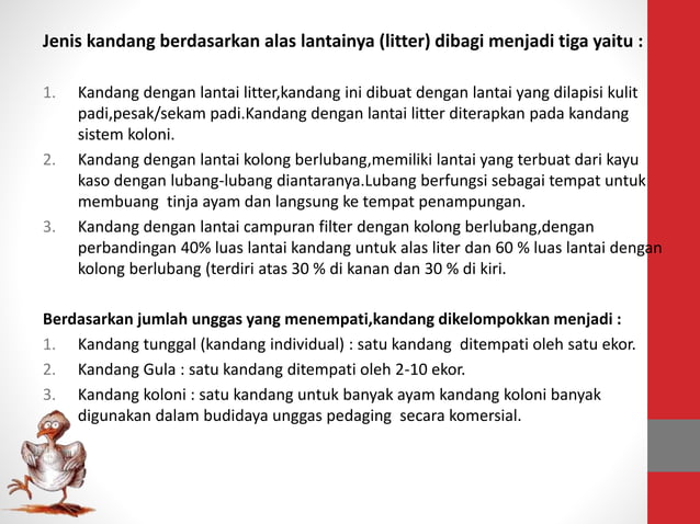 Presentasi Ayam Buras untuk prakarya | PPTX