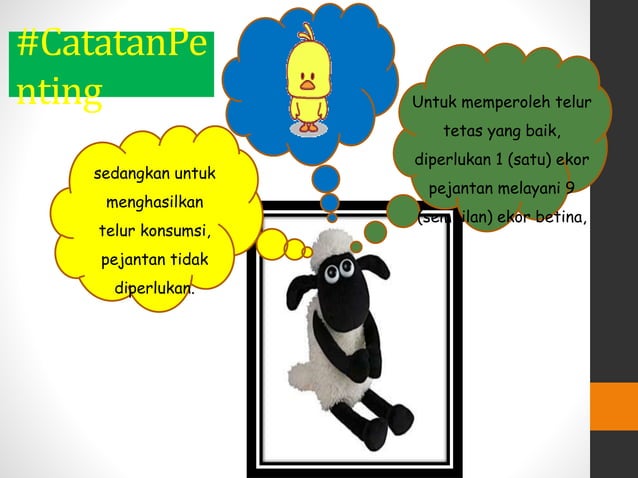 Presentasi Ayam Buras untuk prakarya | PPTX