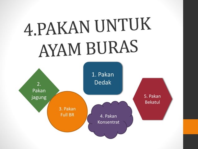 Presentasi Ayam Buras untuk prakarya | PPTX