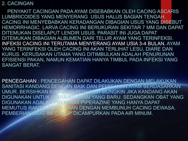 Presentasi Ayam Buras untuk prakarya | PPTX