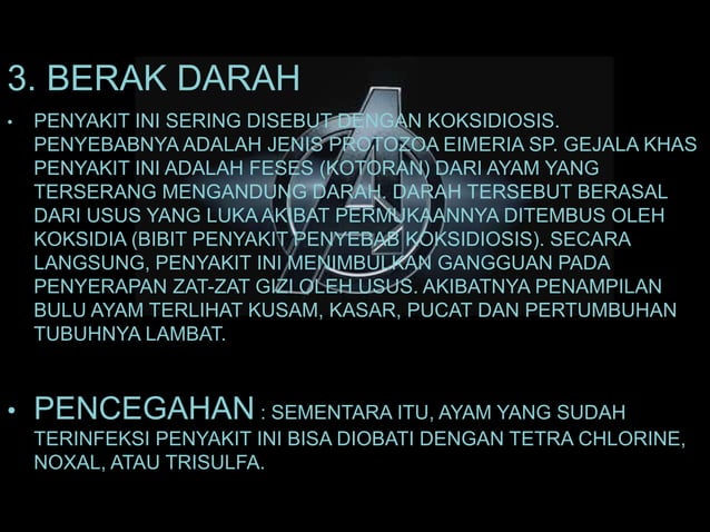 Presentasi Ayam Buras untuk prakarya | PPTX