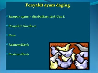 FIQH HALAL HARAM ( AYAM ORGANIK ) | PPT