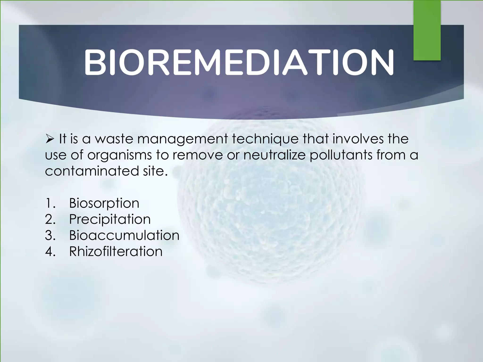 Bioremediation of Lead Polluted water | PPTX