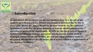 Role of bio fertilizers in sustainable organic agricultural development ...