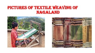 Ayansh in nagaland social science file.pptx