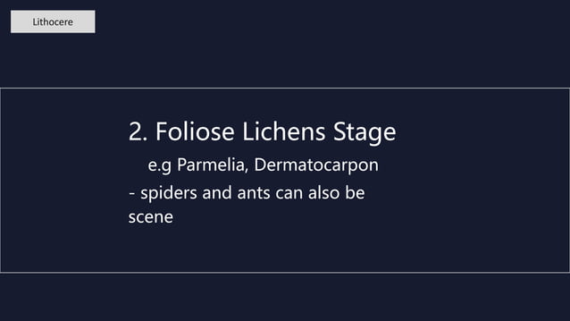 Succession(Hydrocere,lithocere,psammosere and heterotrophic succession ...