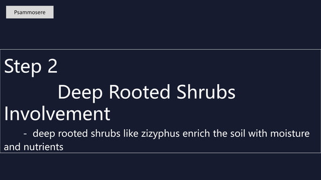 Succession(Hydrocere,lithocere,psammosere and heterotrophic succession ...