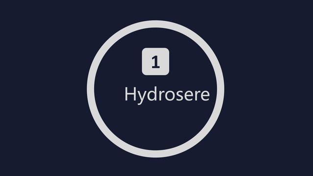 Succession(Hydrocere,lithocere,psammosere and heterotrophic succession ...