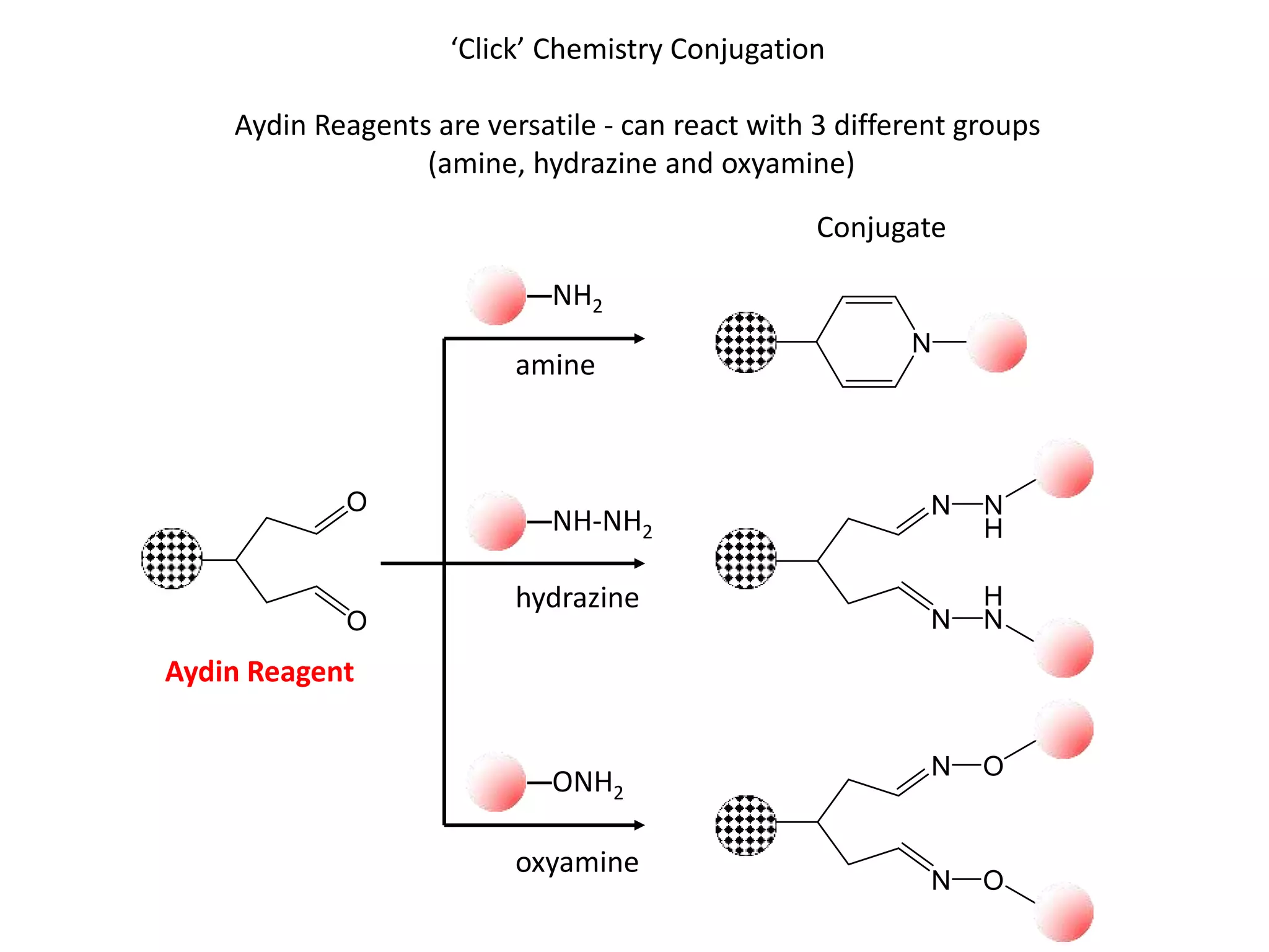 Aydin Reagent Bioconjugation Intro | PPT