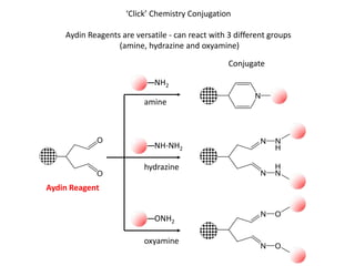 Aydin Reagent Bioconjugation Intro | PPT